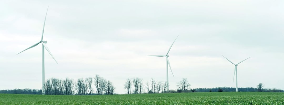 bluff-point-wind-center